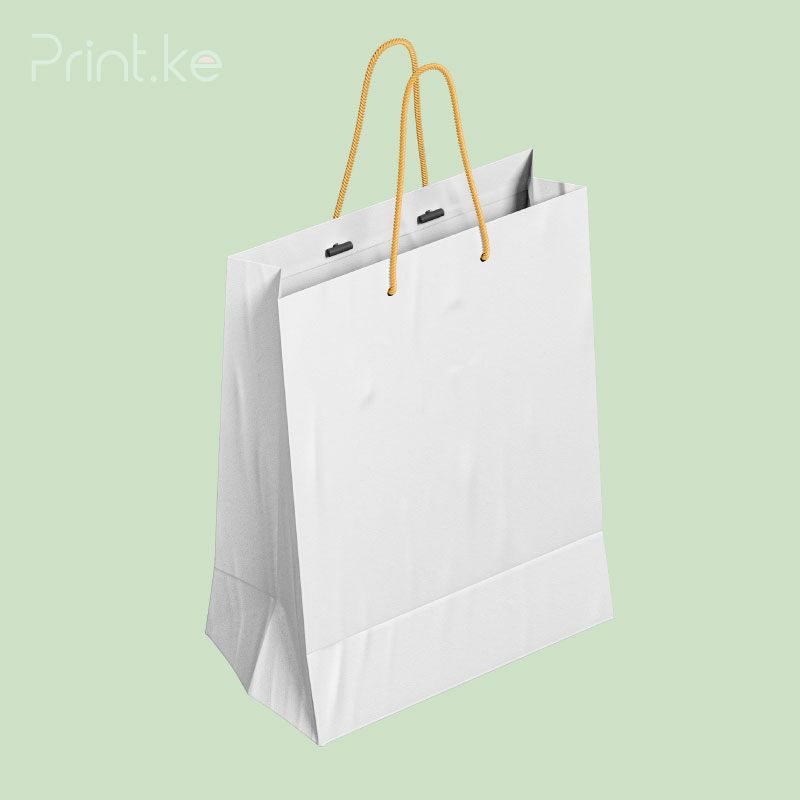 Corporate Branded Gift Bags Design & Printing | Order Online